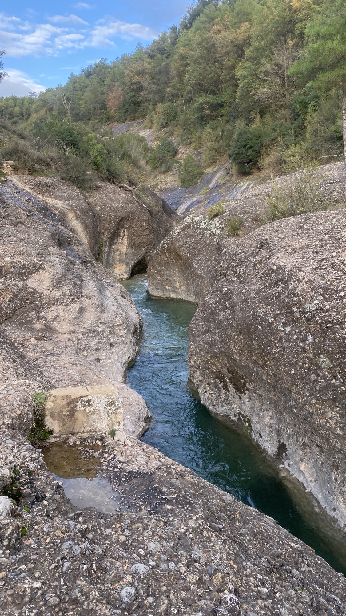 Ogern | Rodando libres